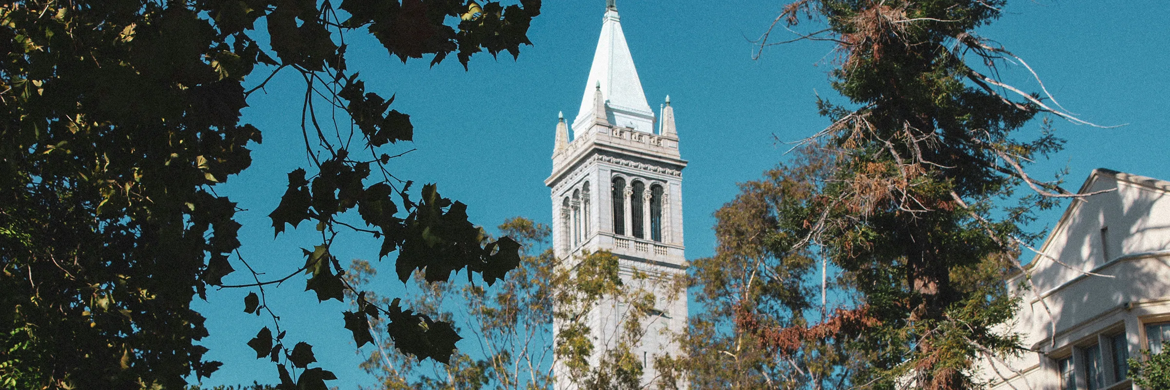 Programs - Berkeley Center for American Democracy (BCAD)